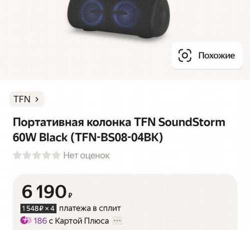 Портативная колонка TFN SoundStorm 60W