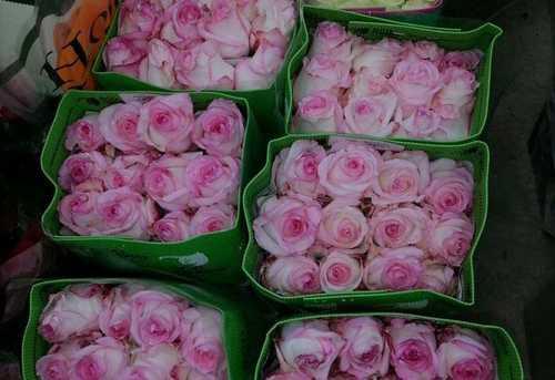101 роза пион букеты цветы 51 доставка 24 7