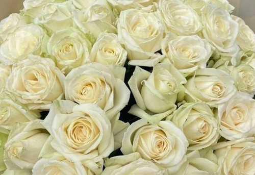 Белые розы, букет белых роз