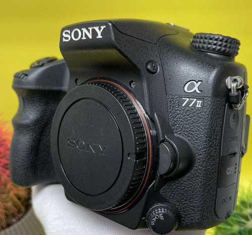 Sony A77 Mark II