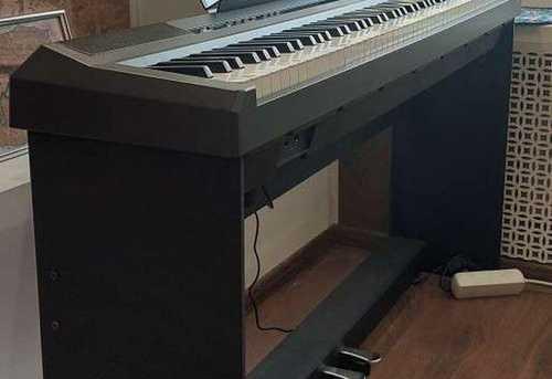 Новое цифровое пианино antares D300