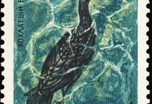 Фауна. Водоплавающие птицы. 1972, 12 января