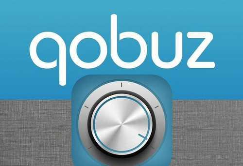 Qobuz Studio Premier. Подписка на год, непрерывно