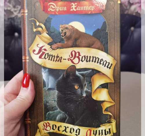 Коты воители восход луны