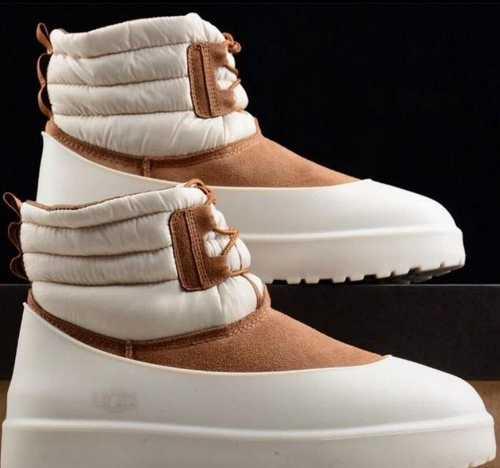 Угги Ugg Classic Mini Lace-Up Chestnut Whitecap