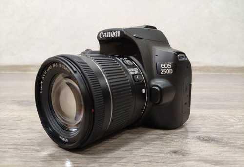 Canon 250D + 18-55mm STM в Идеале
