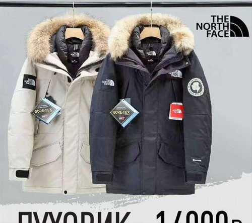 Парка пуховик мужская THE north face