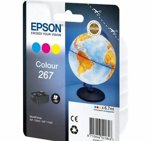 Картридж для струйного принтера Epson C13T26704010