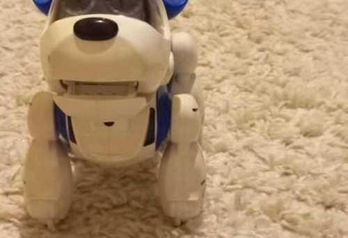 Робот-собака Silverlit Ycoo Pupbo Dog