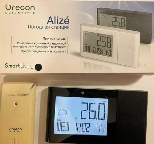 Погодная станция Alize Oregon