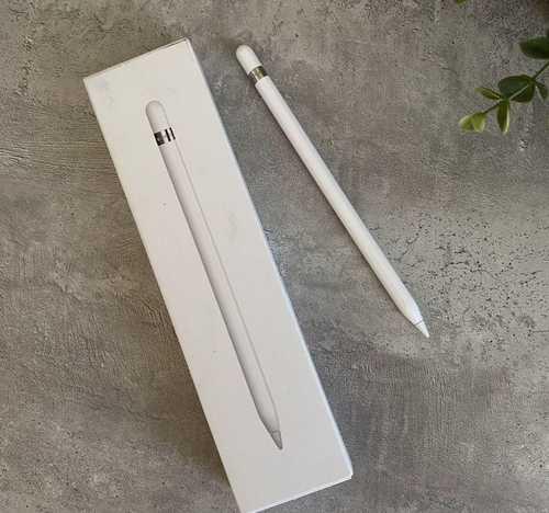 Apple Pencil 1   комплектация