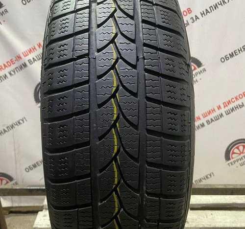 Tigar Winter 1 195/65 R15 95T