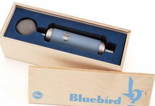 Bluebird микрфоно