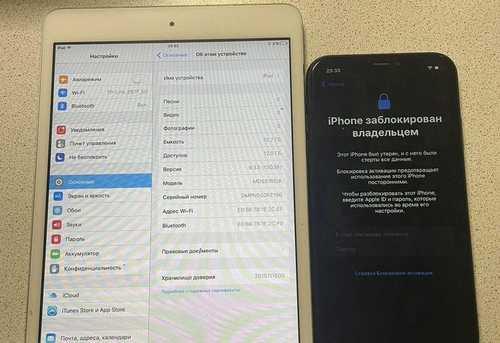 iPad mini iPhone xr