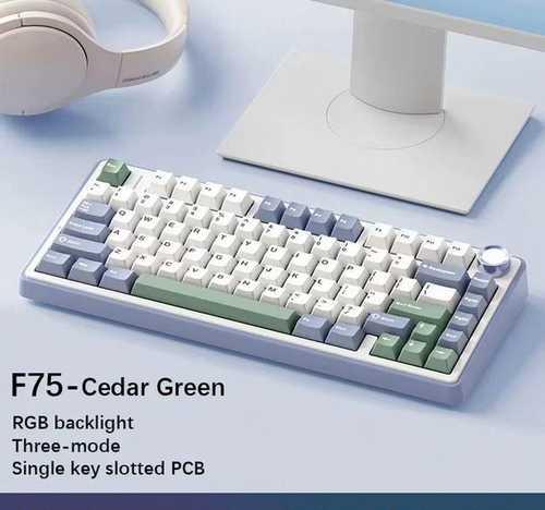 Aula F75 Cedar Green