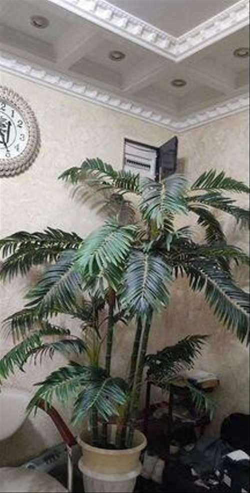 Искусственное дерево бу Пальма
