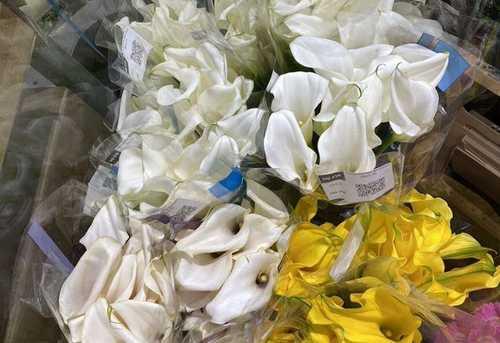 Каллы букет цветы калла
