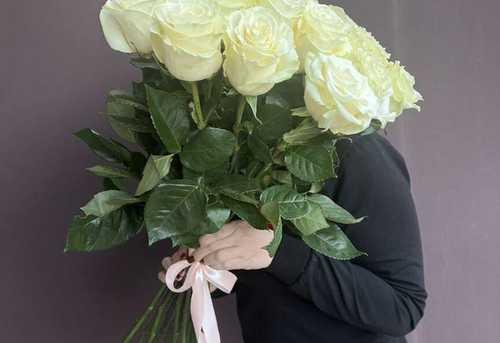 Шикарная голландская белая роза