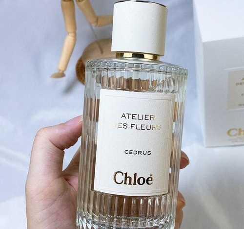 Chloe cedrus Оригинал Распив