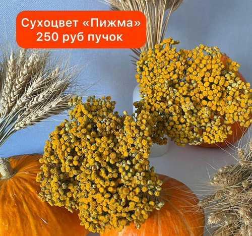 Сухоцвет «Пижма»