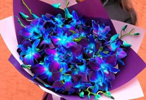 Космические Букеты из Орхидей. Свежие Цветы