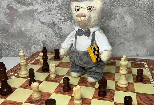 Тедди шахматист