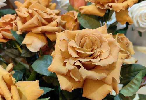 Пионовидные розы Цветы