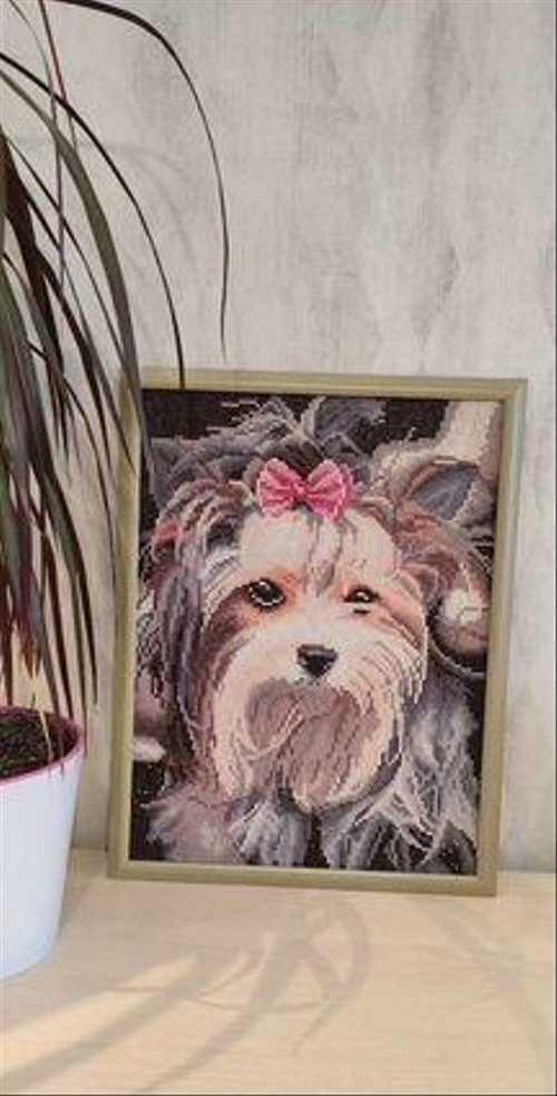 Картина Собака алмазная готовая