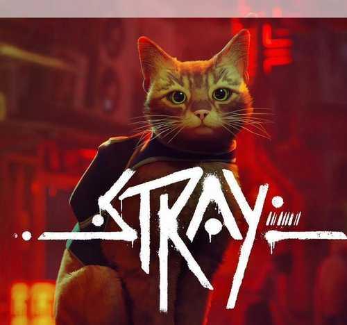 Stray на PS4 и PS5