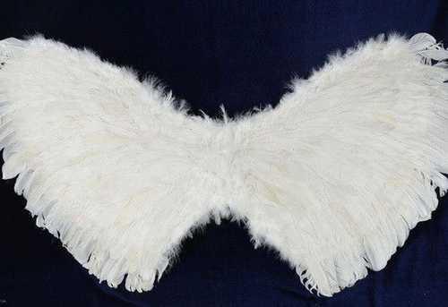 Крылья перьевые белые, (перья, пластмасса, тесьма)