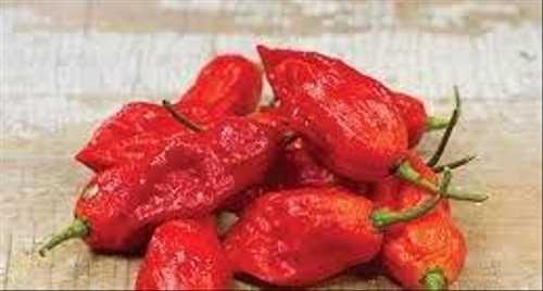 Red ghost pepper Bhut Jolokia семена 10 шт