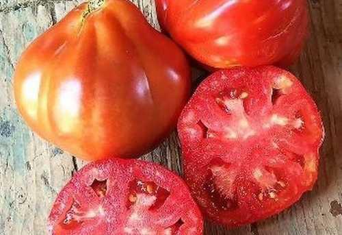 Семена урожайного томата Red Pear