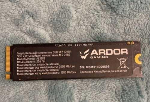 Ardor Ssd m2 256gb