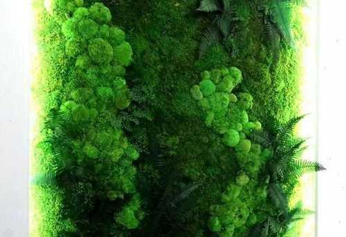 Создайте зеленый уголок с вертикальным озеленением