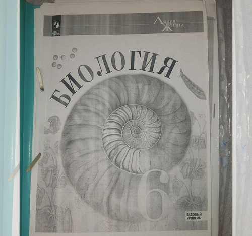 Биология 6 класс пасечник