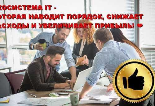 CRM для предпринимателей. Арт. y-6448