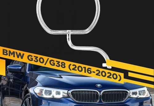 Световод для фары BMW 5 G30/G38 (2016-2020) под ли