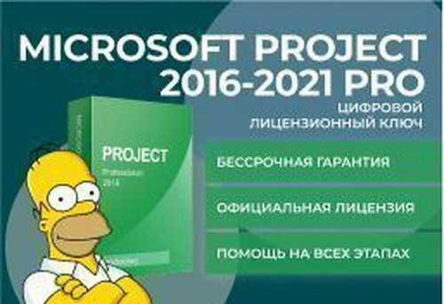 Project Pro 2016-2021 Ключи лицензионные