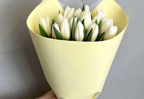 Цветы Белые Тюльпаны