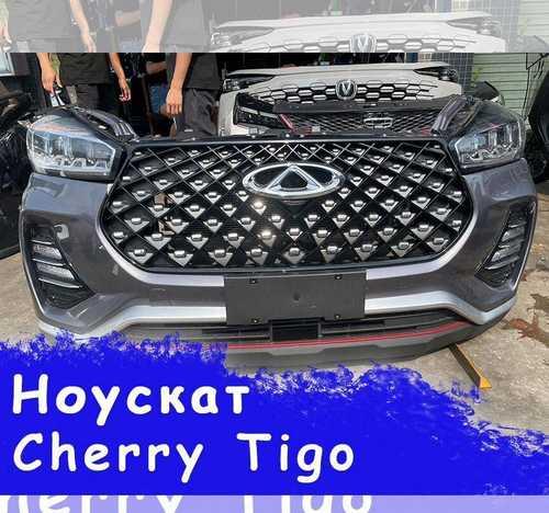 Ноускат cherry tigo