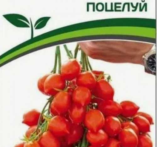 Рассада черри Поцелуй, Краски