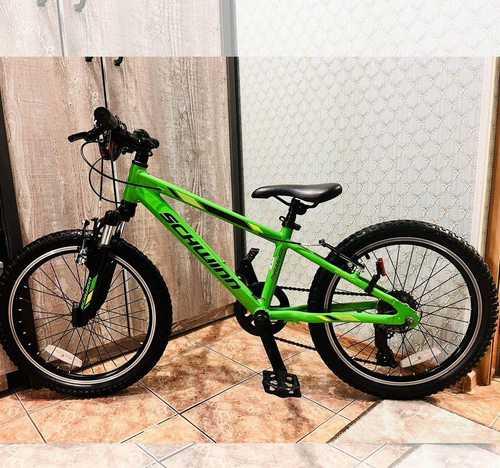 Детский велосипед Schwinn Thrasher 20" green