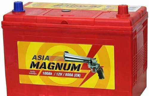 100Ah Аккумулятор 12V 6CT-100.0 Magnum Asia 800A