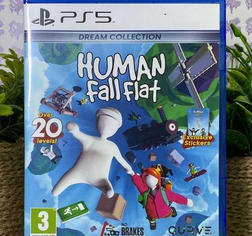 Human Fall Flat PS4