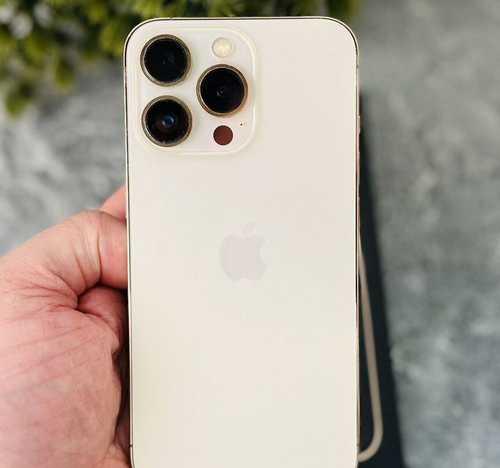 iPhone 13 Pro, 256 ГБ