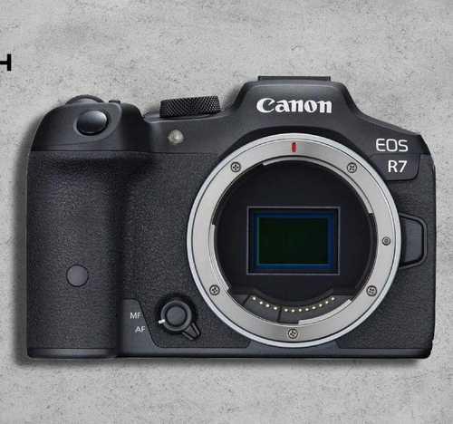 Canon EOS R7 Body Новый