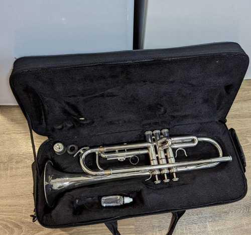 Труба Roy Benson tr202s