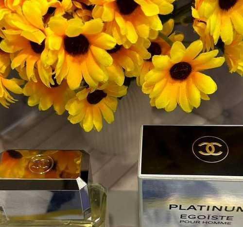 Chanel platinum egoiste