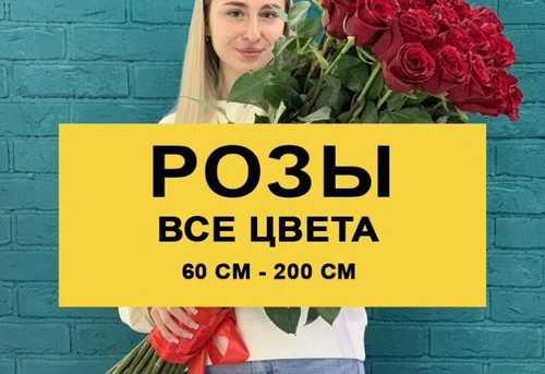 Роза31-51-101 розы букеты