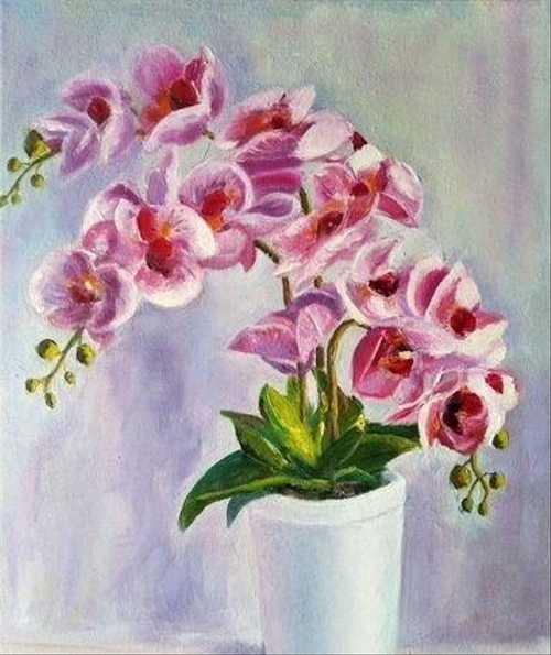 Картина маслом "Орхидея"